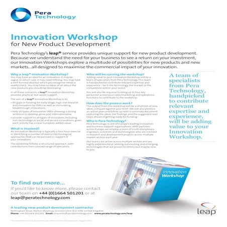 Innovation workshop - Fact Sheet | PDF
