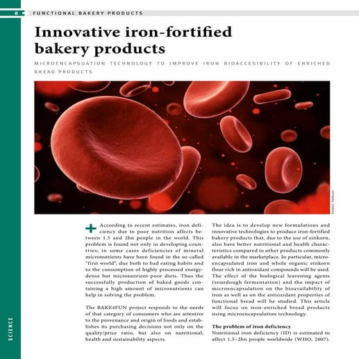 Innovative iron fortified bakery products | PDF | Digestive Disorders ...