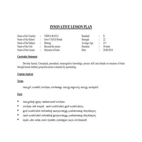 Innovative lesson plan 1 | DOCX