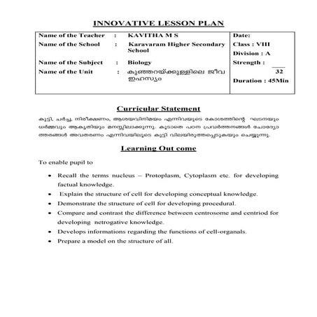 Innovative lesson plan | PDF