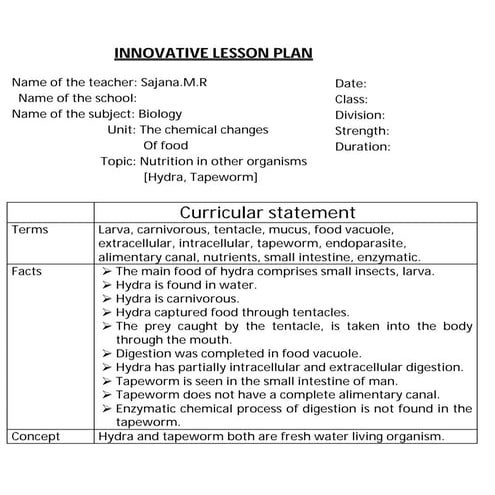 Innovative lesson plan pdf | PDF