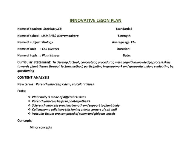 Innovative lesson plan | DOCX