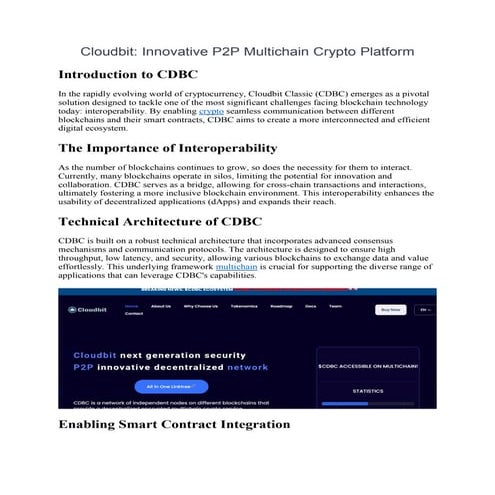 Innovative P2P Multichain Crypto Platform.pdf
