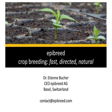 4a. Biobased crops - Sharifah Rabiah Syed Alwee | PDF