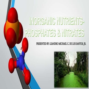 Inorganic nutrients | PPTX