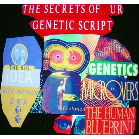 Inosine and Xanthine Additions for comparing the current 5 nucleotide ...