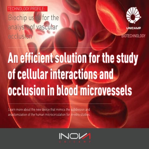 TECHNOLOGY PROFILE | PPT