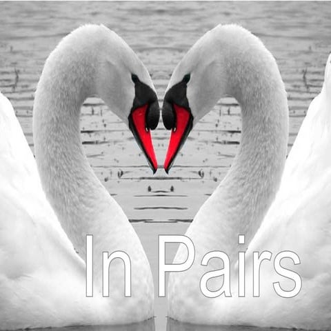 == In Pairs | PPS