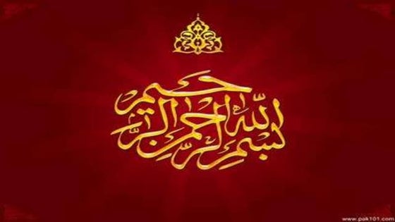 Input devices-2 | PPT