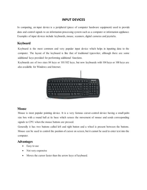 Input And Output Device Ppt 7339