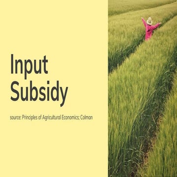Input subsidy | PDF