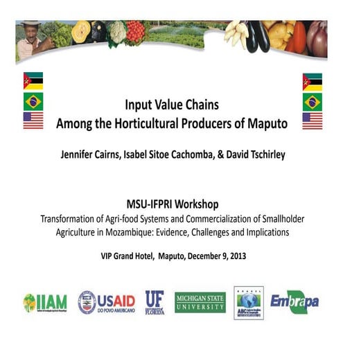 Input Value Chains Among the Horticultural Producers of Maputo | PDF