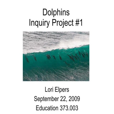 Inquiry Project 1 | PPT | Zoos & Aquariums | Attractions
