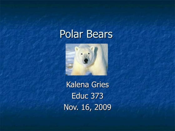 Polar bear project | PPT