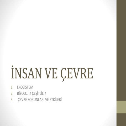 Insan ve çevre | PPTX