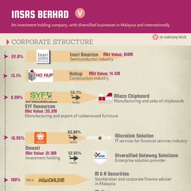 Insas Berhad Infographic | PDF
