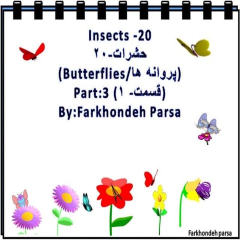 Insect 20 | PPT