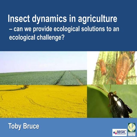 Insect Dynamics in Agriculture | PPTX