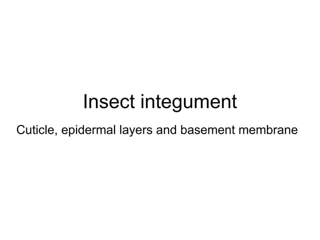 Lec. 5 insect cuticles.ppt