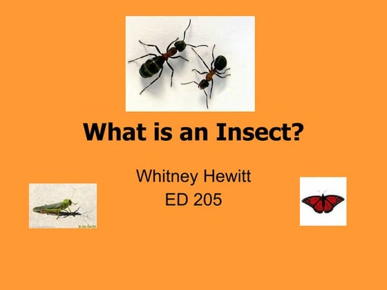 Entomology | PPT | Biological Sciences | Science