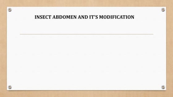 INSECT ABDOMEN:IT’S SEGMENTATION AND APPENDAGES,STRUCTURE,FUNCTION AND ...