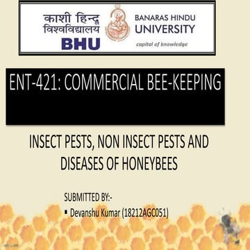insect and non insect pest and disease of honeybees.pptx