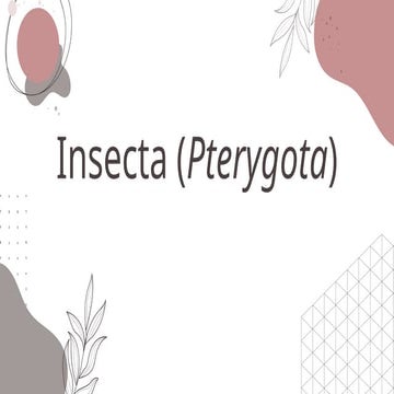 Biodiversitas Kehidupan Hewan Invertebrata insecta Pterygota | PPTX