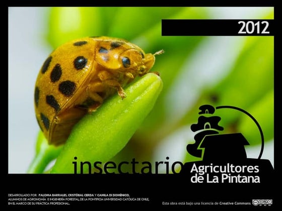 Insectario | DOCX