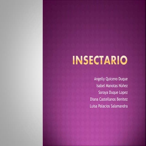 INSECTARIO, MONTAJE Y DISECACION DE LOS INSECTOS | PDF