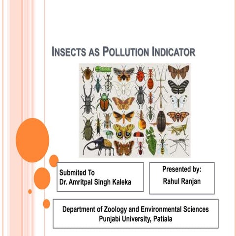 Insect as pollution indicator | PPTX