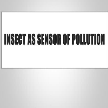 Insect as sensor of pollution | PPTX