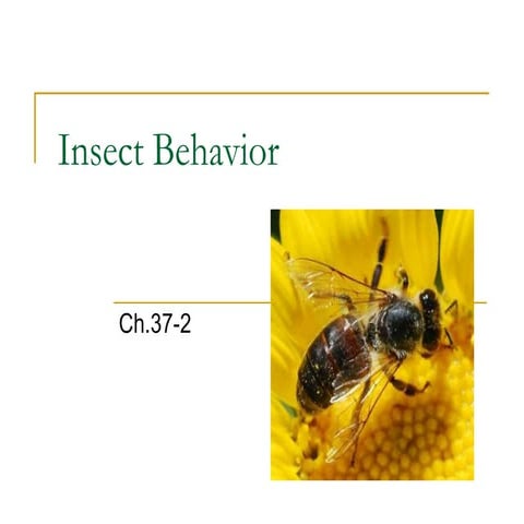 Insect Behavior.ppt