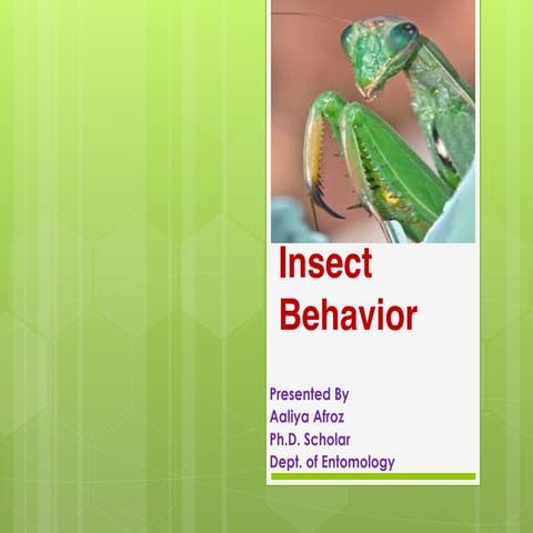 Insect behavior | PDF
