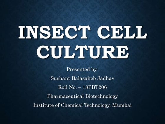 Ramachandran plot | PPTX | Chemistry | Science