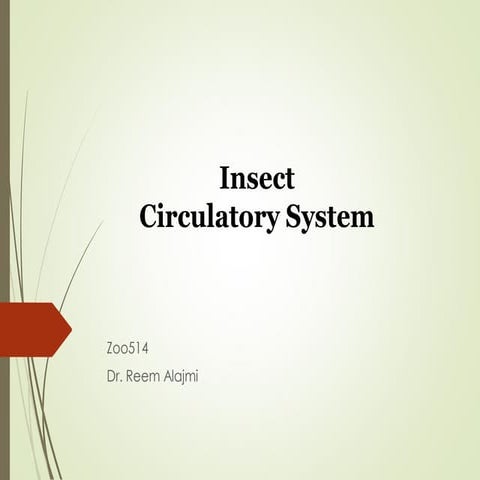 insect_circulatory_system................ | PDF