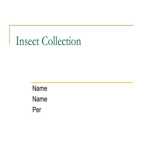 Insect Collection | PPT