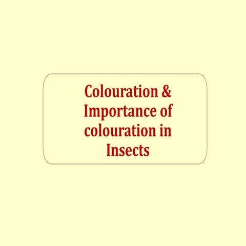 Insect colouration and its importance in entomology | PPTX