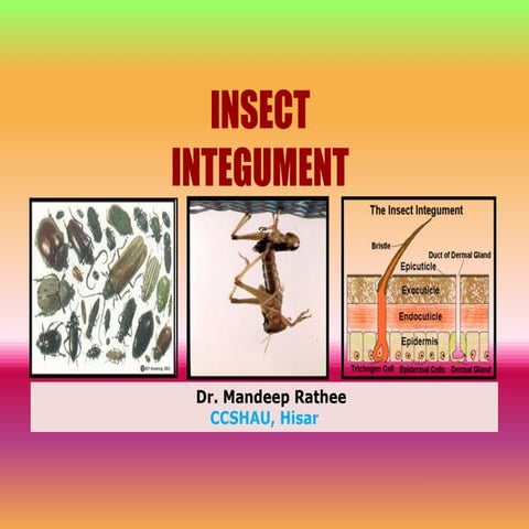 Structure of integument its function, moulting.pptx