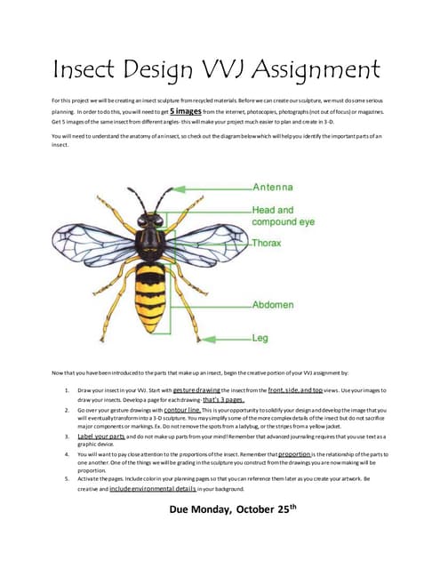 Insect design vvj assignment | PDF