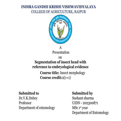 Insect morphology | PDF