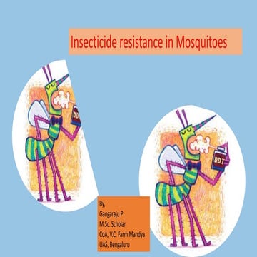 Insecticide resistance in mosquitoes | PPTX