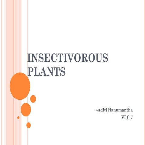 Insectivorous plants | PDF
