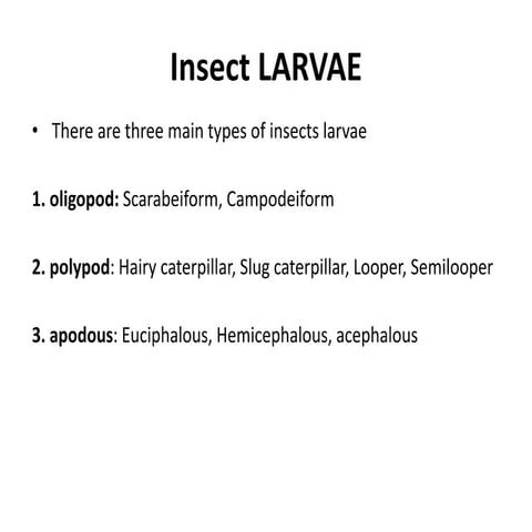 Types of Insect larvae | PPTX | Geology | Science