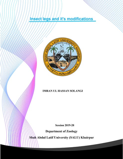 Insect Leg: Structure and Modifications | PPTX | Rowing | Sports