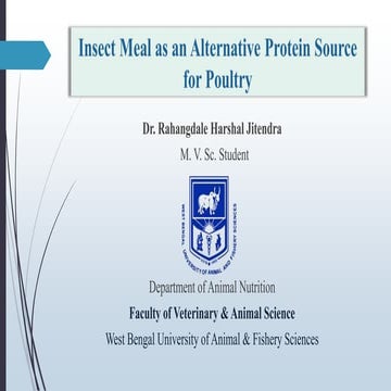 Insect Meal as an Alternative Protein Source for poultry | PPTX