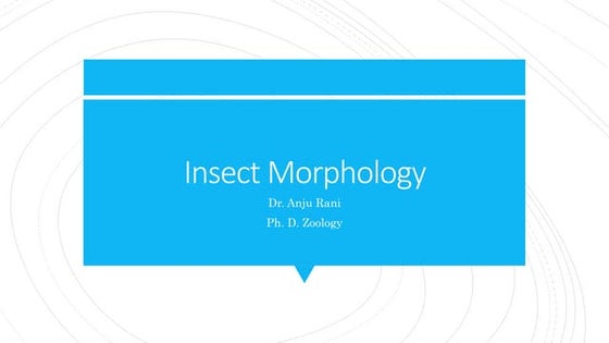 Mouth parts of insect | PPTX | Dental Health | Diseases and Conditions