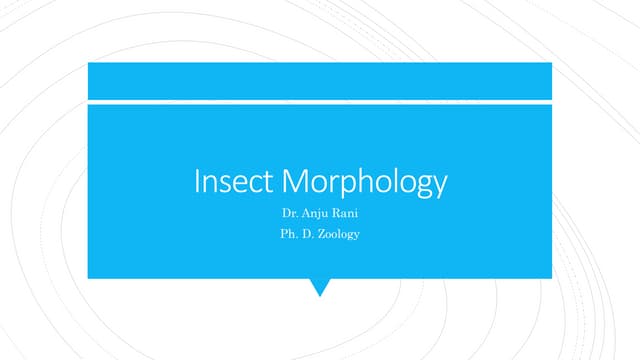 INSECT ABDOMEN:IT’S SEGMENTATION AND APPENDAGES,STRUCTURE,FUNCTION AND MODIFICATION IN DIFFERENT ...