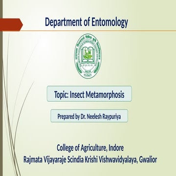 Description insect metamorphosis in details.pptx