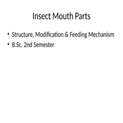 Mouth parts of insect | PPTX