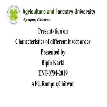 Classification of insects | PPTX